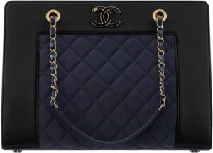 Chanel Fall Winter 2015 Seasonal Bag Collection | Bragmybag