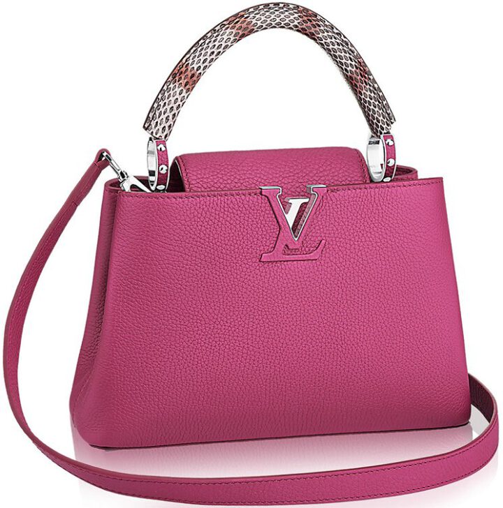 Limited Edition Louis Vuitton Capucines BB Bag | Bragmybag