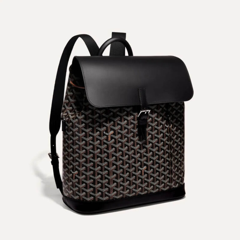 Goyard Alpin Backpack | Bragmybag
