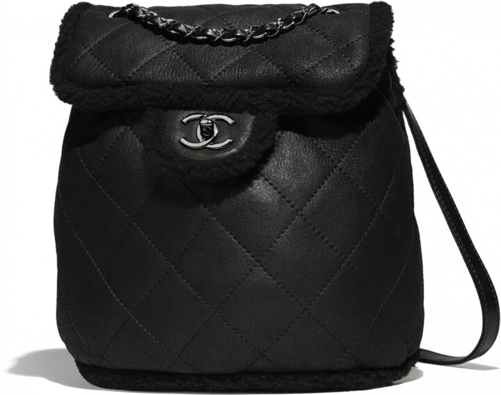 Chanel Coco Neige Bag Collection | Bragmybag