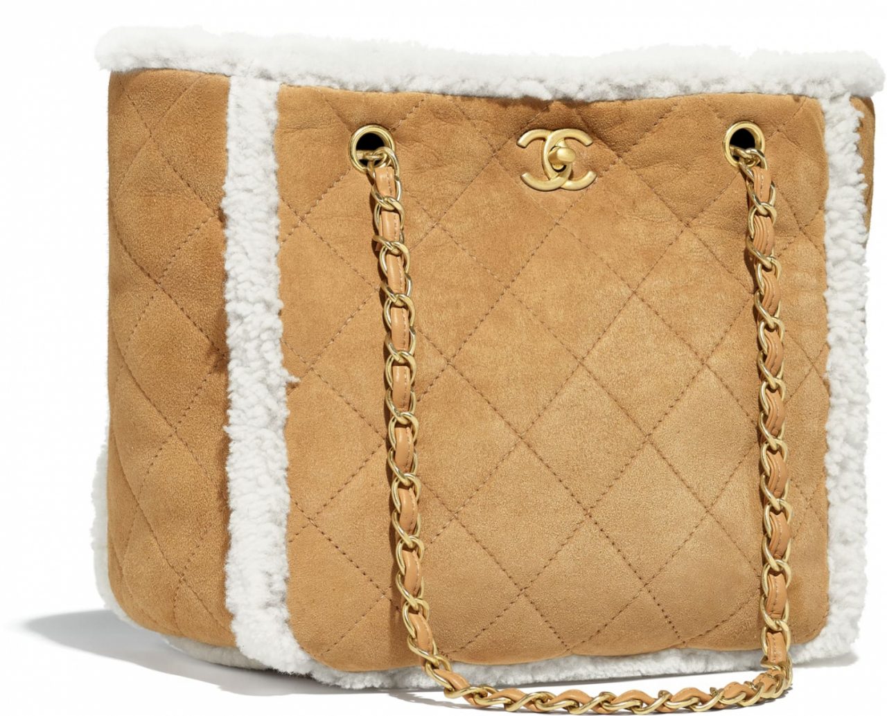 Chanel Coco Neige Bag Collection | Bragmybag