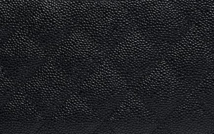 Chanel Caviar Leather Guide | Bragmybag