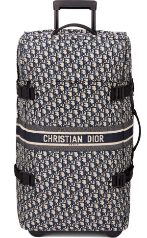 Travel Dior Bag And Trolley Case | Bragmybag