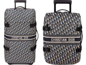 Travel Dior Bag And Trolley Case | Bragmybag