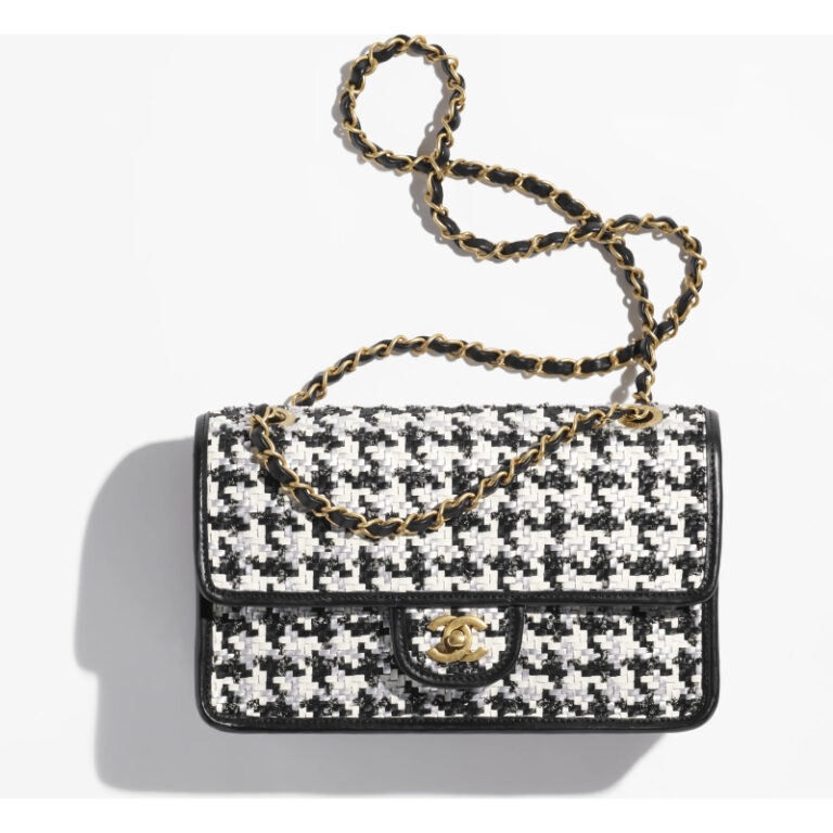 Chanel Cruise 2023 Seasonal Bag Collection | Bragmybag