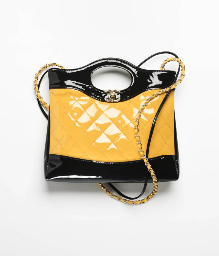 Chanel Pre-Fall 2023 Seasonal Bag Collection | Bragmybag