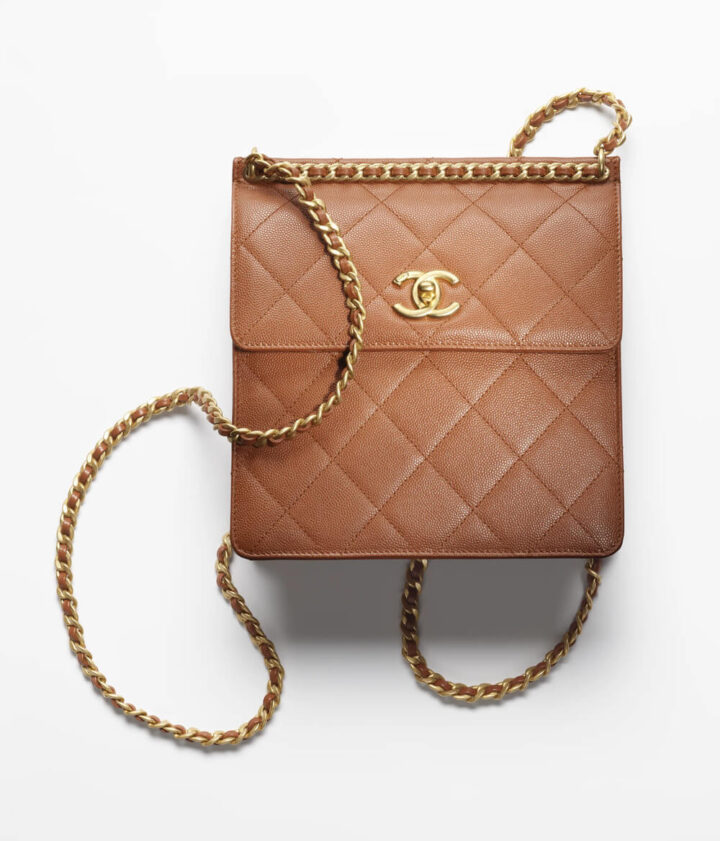 Chanel Pre-Fall 2023 Seasonal Bag Collection | Bragmybag