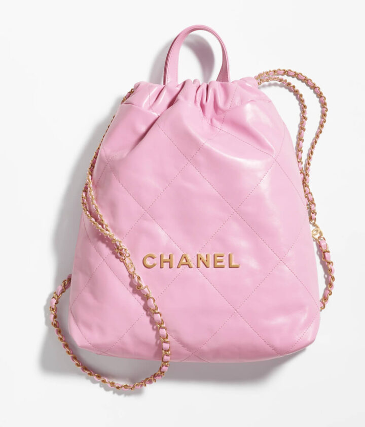 Chanel Pre-Fall 2023 Classic Bag Collection | Bragmybag